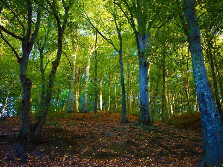 Istanbul, Turkey: Explore the Great Outdoors and Nature