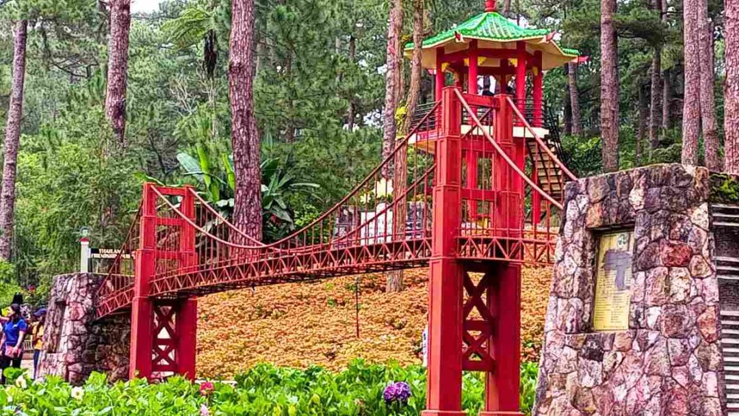 Baguio City Botanical Garden: Blooms and More with Sprinkles of International Touches - No ...